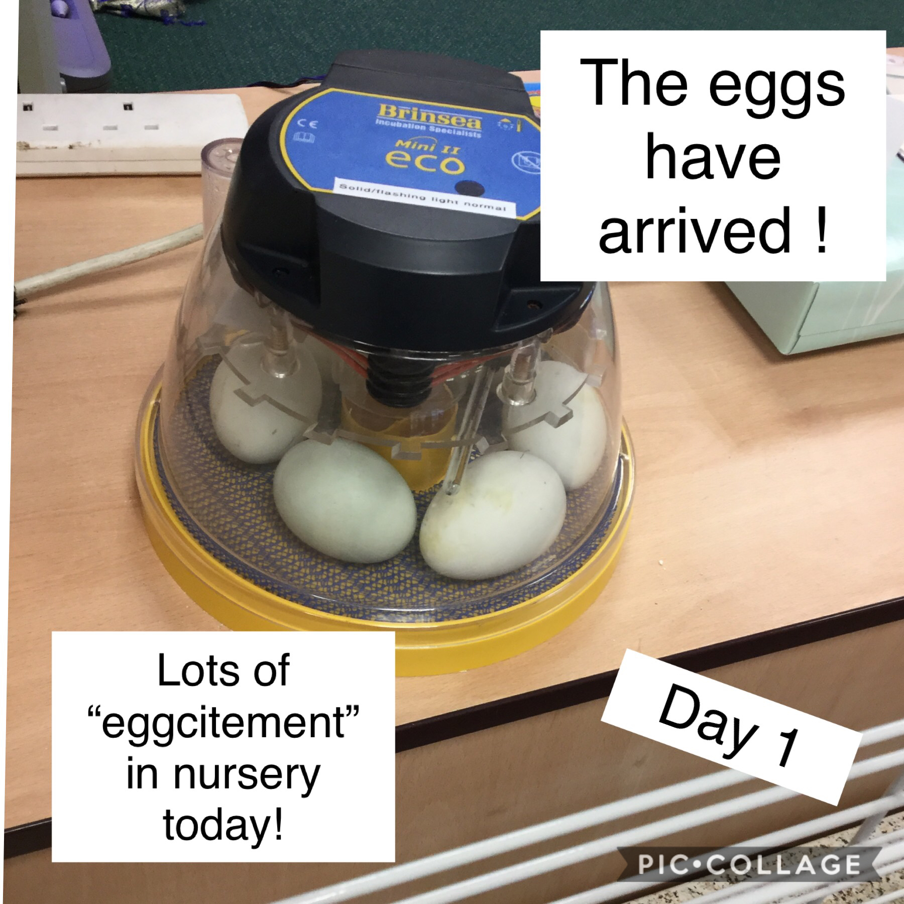 [Nursery] Ducklings – Day 1 | St Oswalds Catholic Primary School