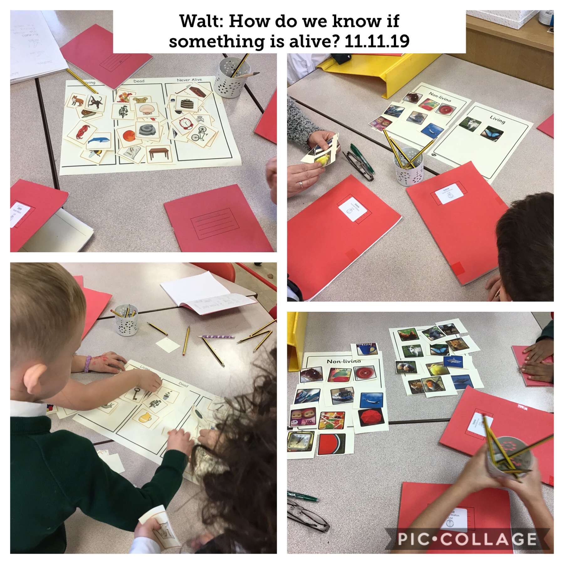 How do we Know Something is Alive? | St Oswalds Catholic Primary School