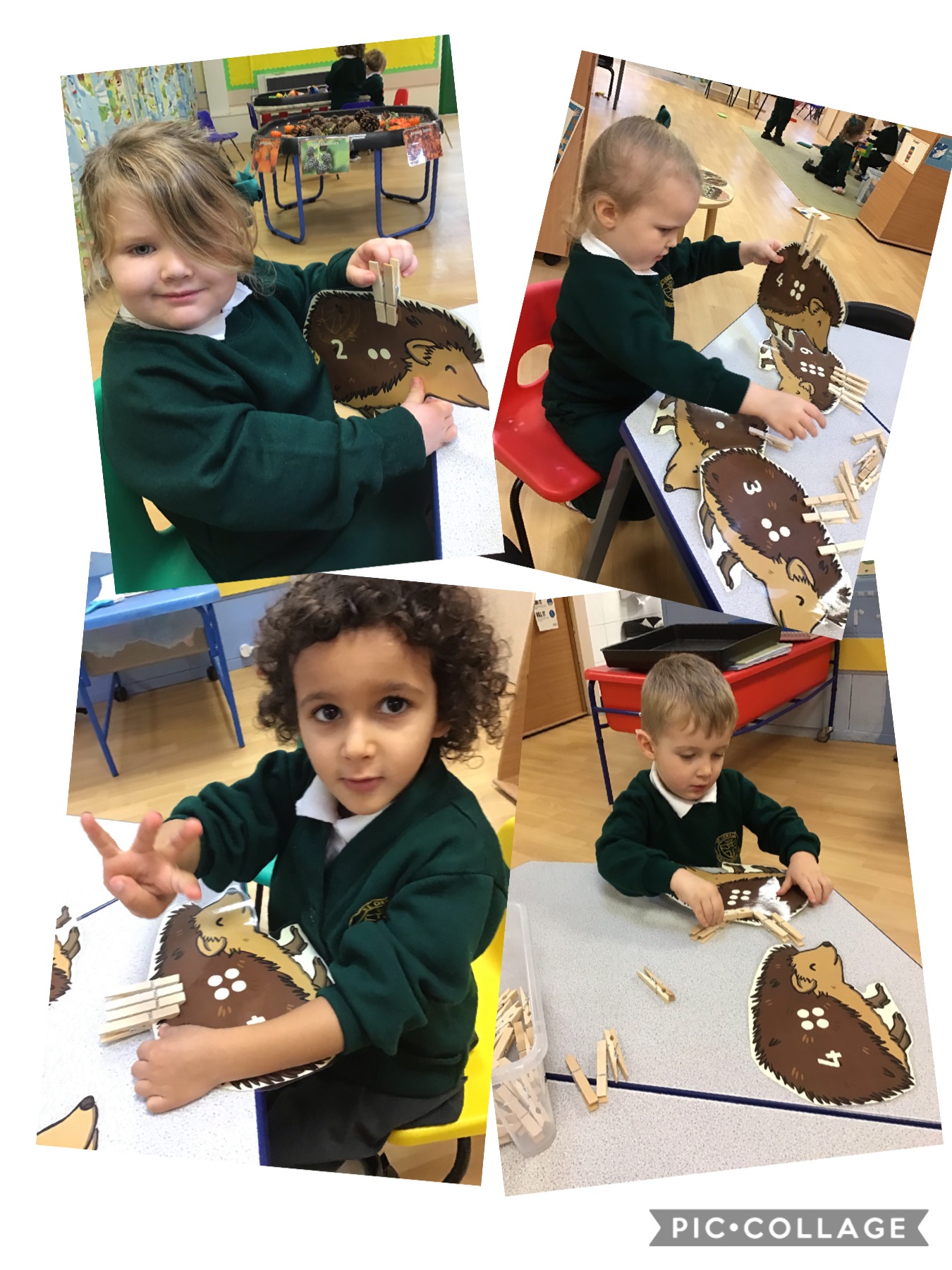 Hedgehog Counting Challenge | St Oswalds Catholic Primary School